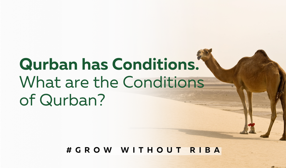 Essential Conditions for Qurban: What You Need to Know? - Zeed Sharia