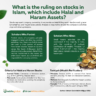 What Is The Ruling on Stocks in Islam, Which Includes Halal and Haram ...