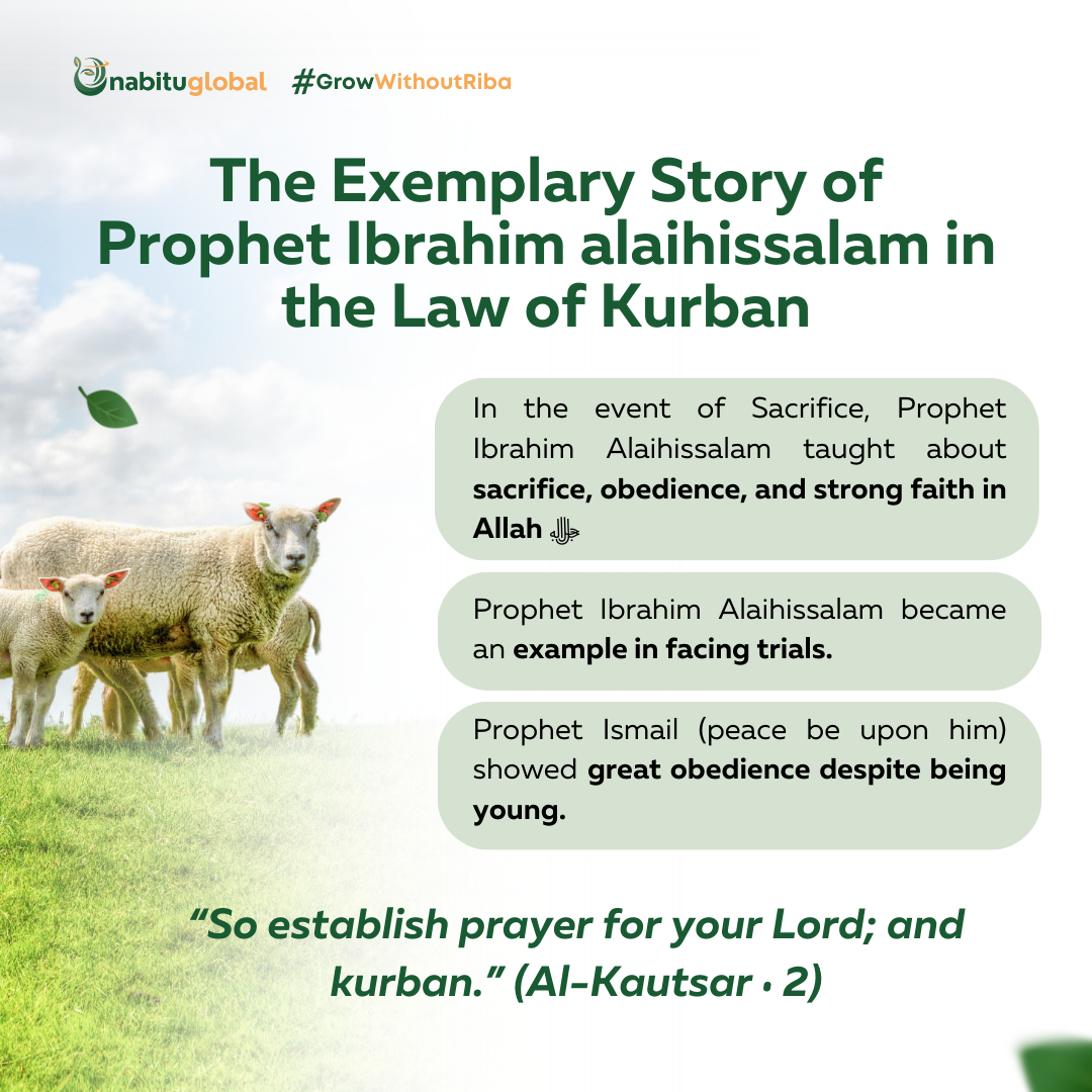 The Story of Prophet Ibrahim in the Law of Qurban (Sacrifice) - Zeed Sharia
